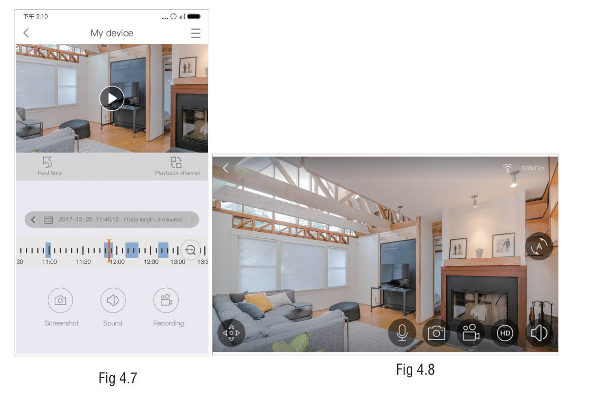 Eseecloud/IP PRO Quick Operating Guide v3.3.10 - EseeCloud